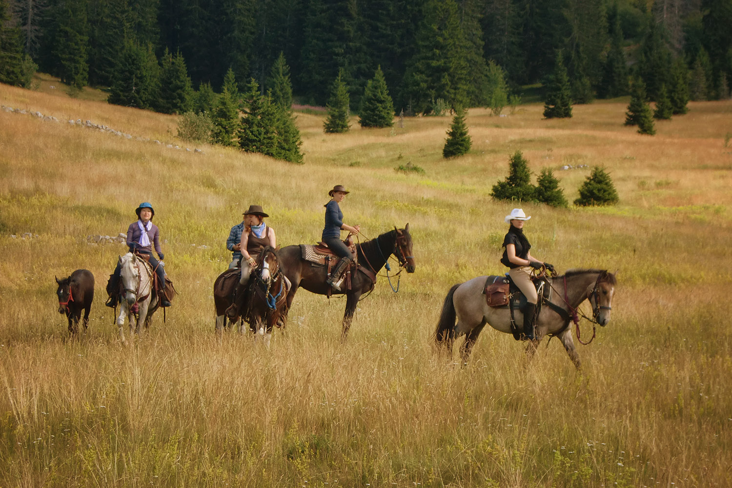 Linden Tree Retreat & Ranch – unique place in the heart of Velebit ...